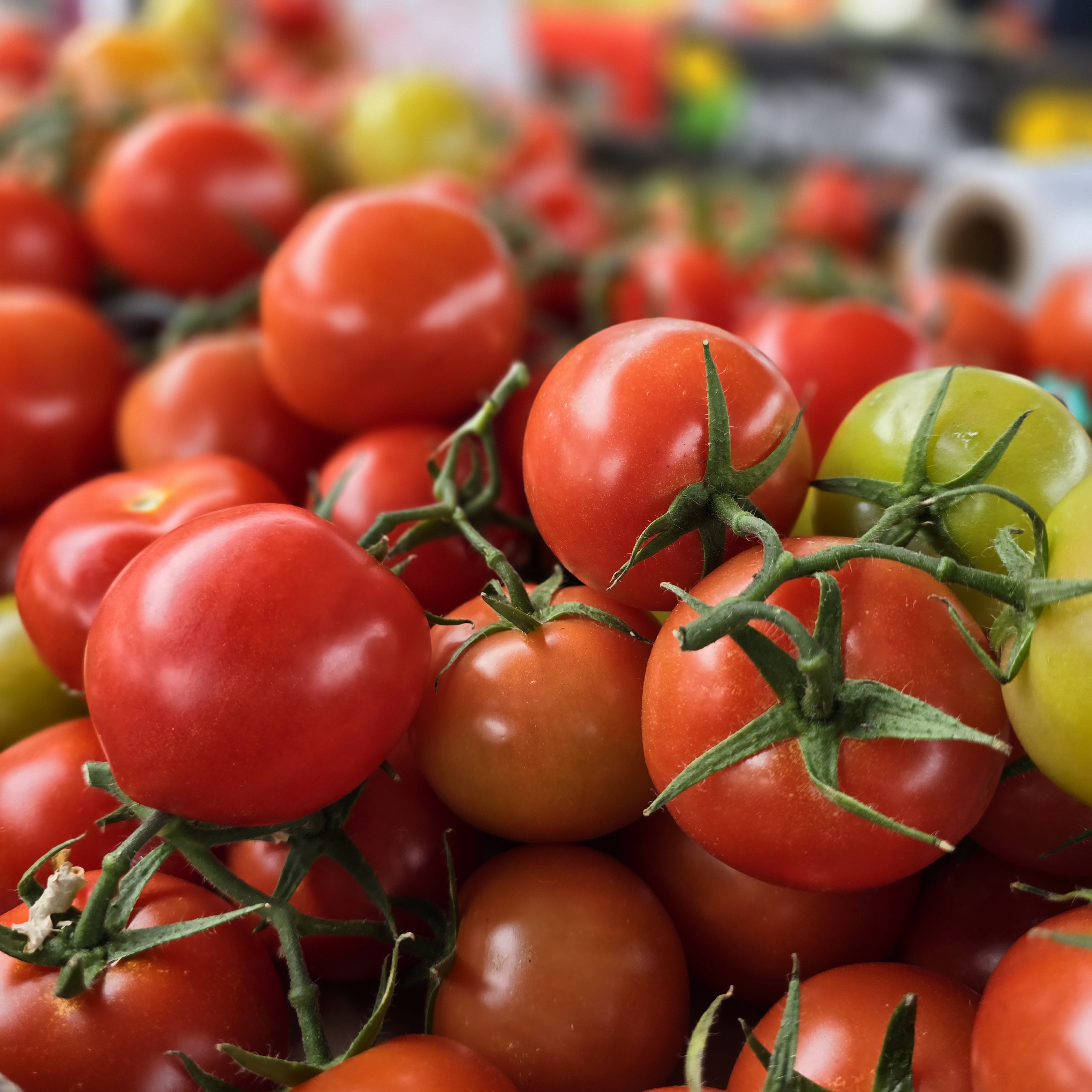 Gallery – Bankstown Markets