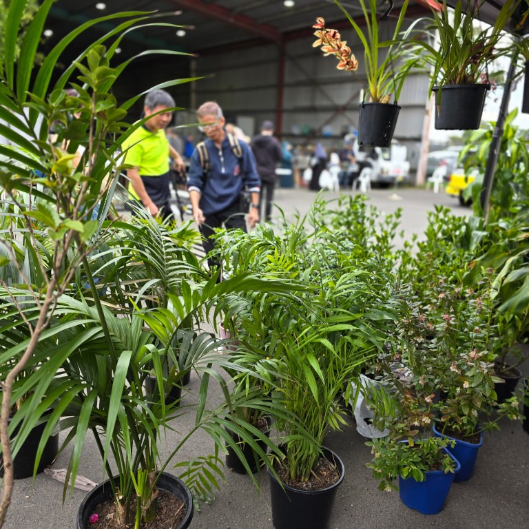 About Us – Bankstown Markets